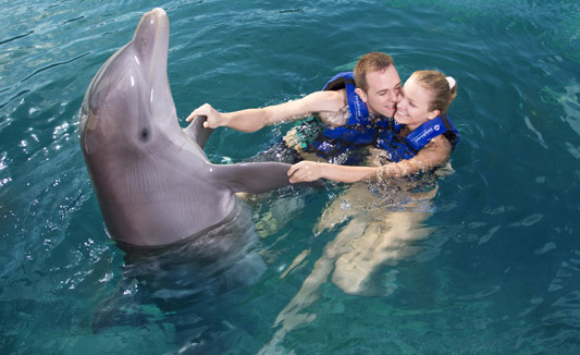 Acuario Reservas | Nado con delfines Couple
